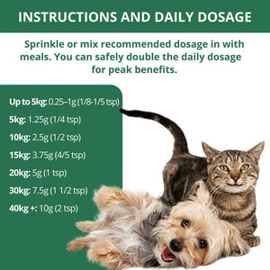 Pet Gut Health Supplement – 500g Bulk | PetWell Australia